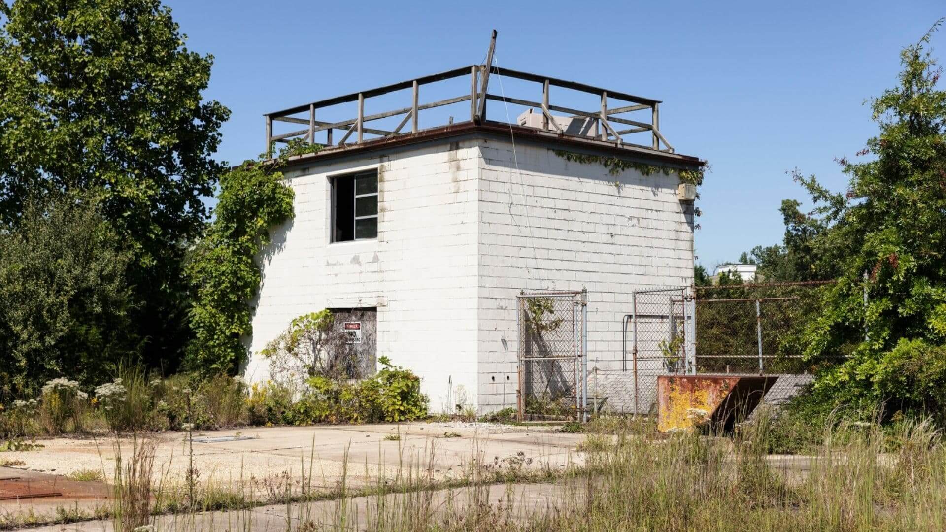 Government Auctions