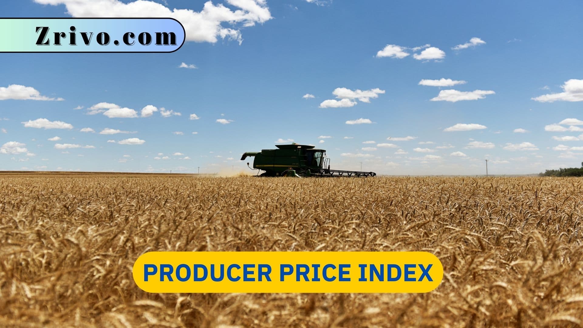 Producer Price Index