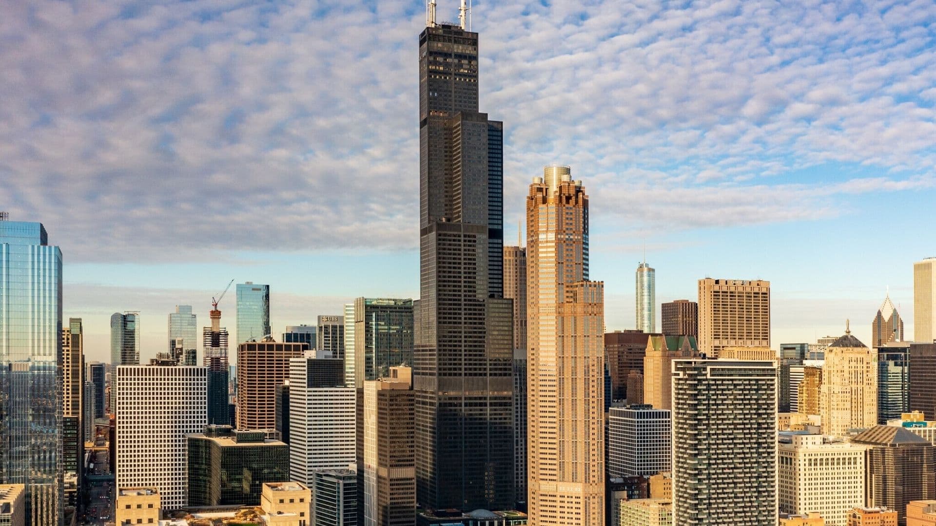 Chicago Business License Renewal