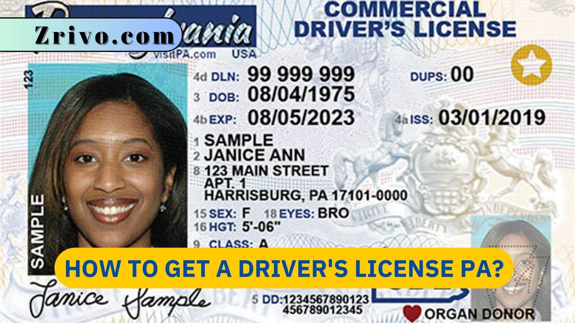 How To Get A Driver's License PA?
