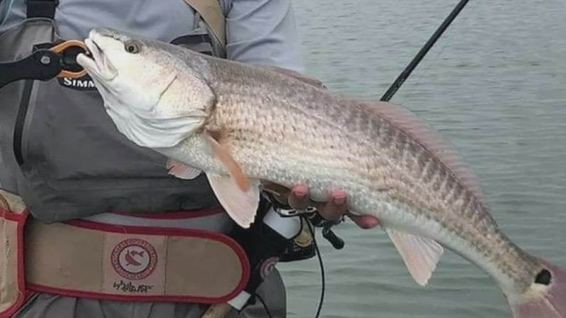 How To Get A Fishing License In Texas?