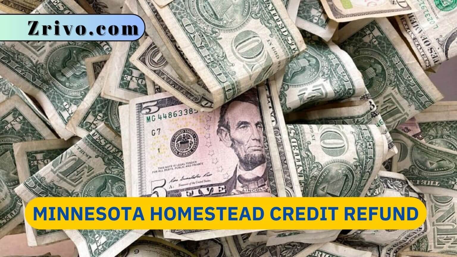 Minnesota Homestead Credit Refund
