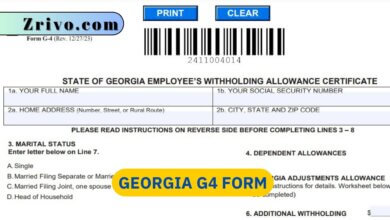 Georgia G4 Form 2024 - 2025