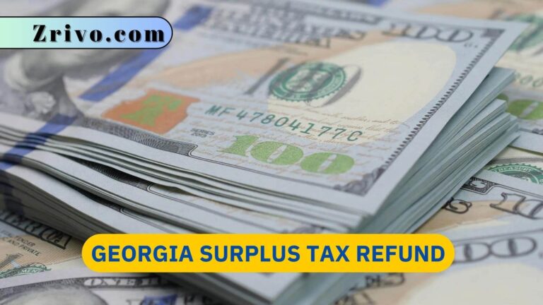 Georgia Surplus Tax Refund 2025 - 2026