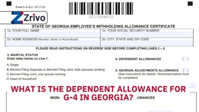 What Is The Dependent Allowance For G-4 In Georgia?